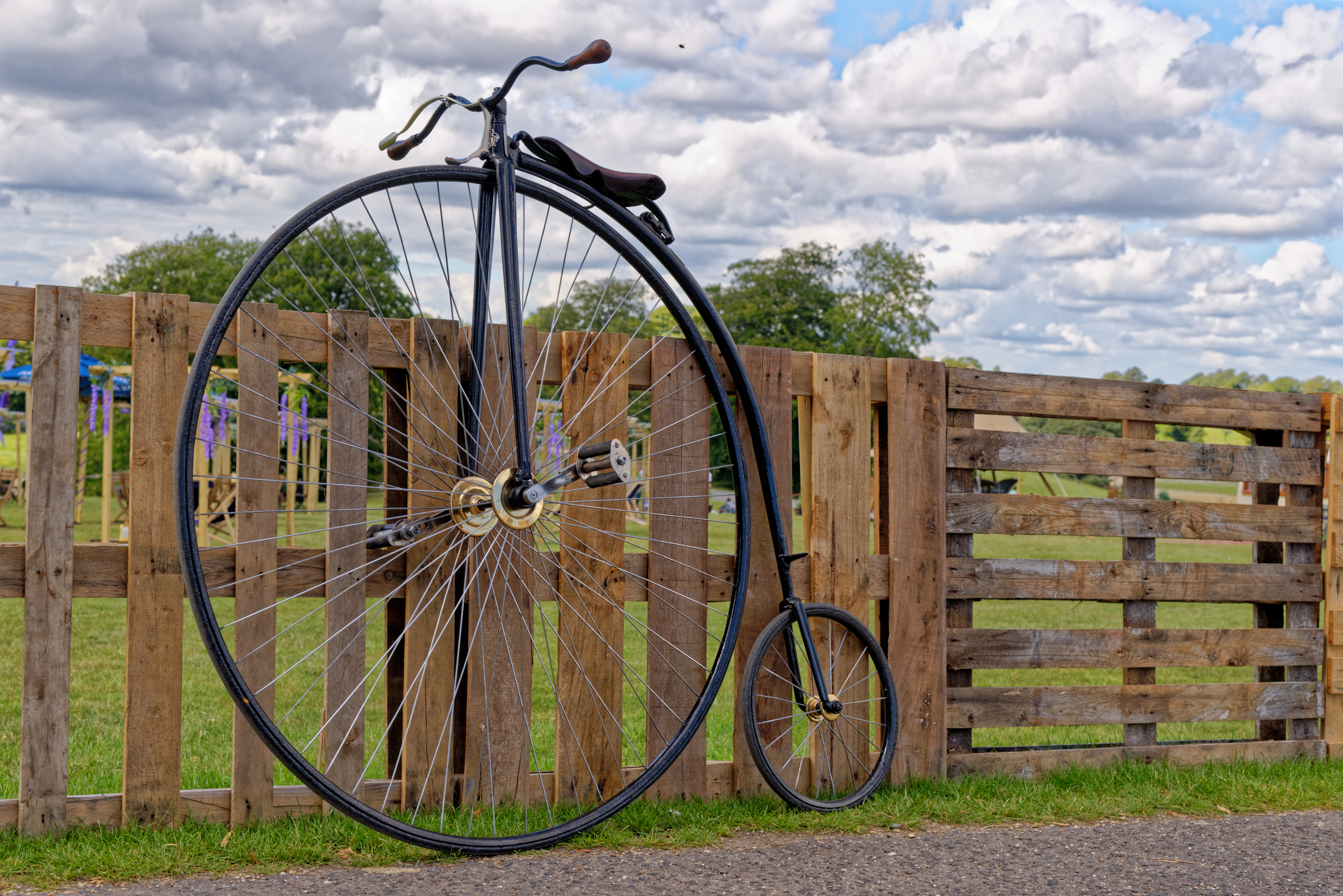 The Best Guide to Bicycle Collecting: Tips for Enthusiasts and Newbies ...