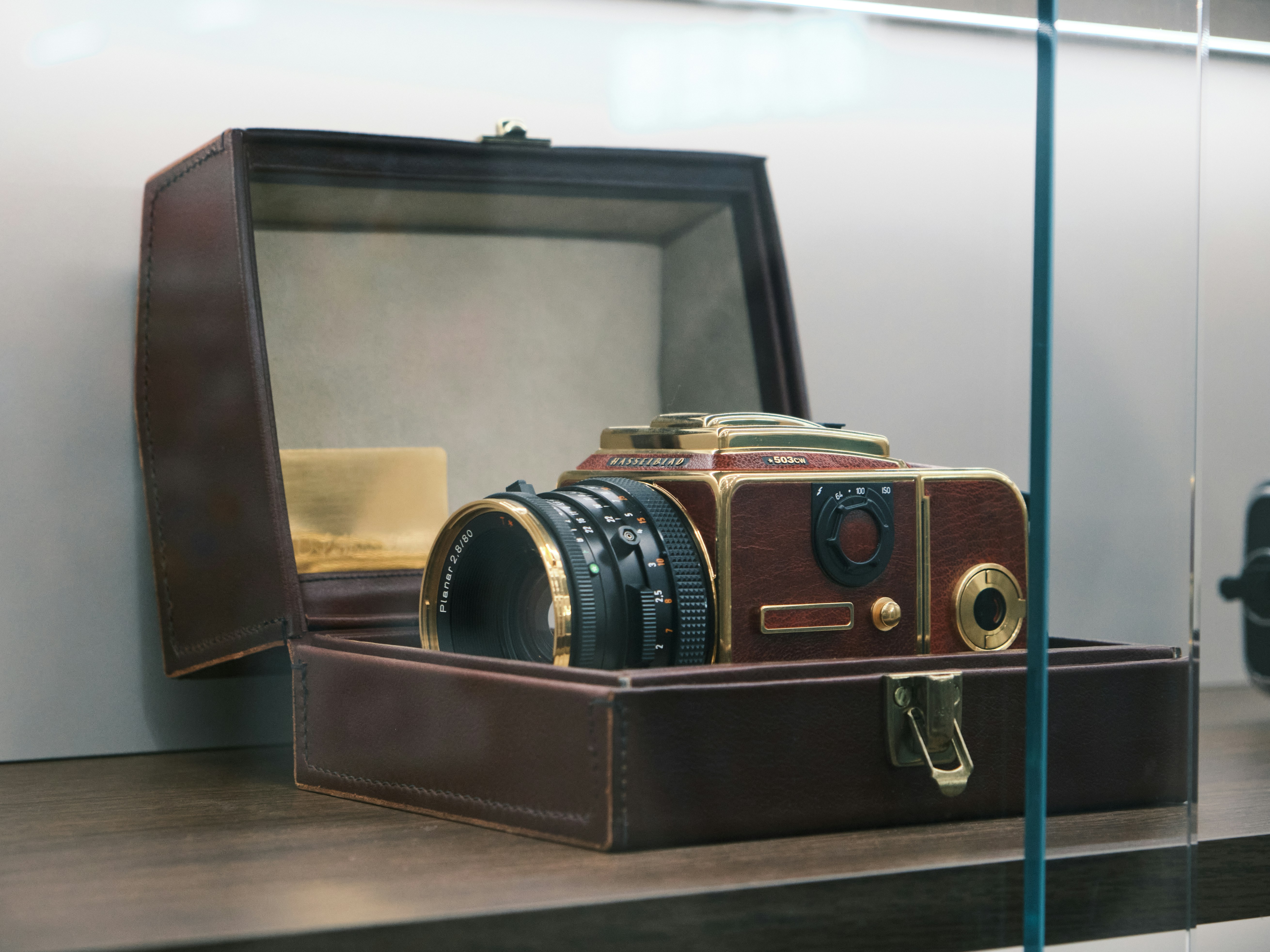 Essential Tips for Successful Camera Collecting: A Beginner's Guide ...